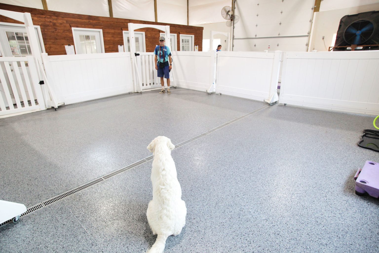 Deschutes Pet Lodge – Dog and Cat Bording for Bend and Redmond